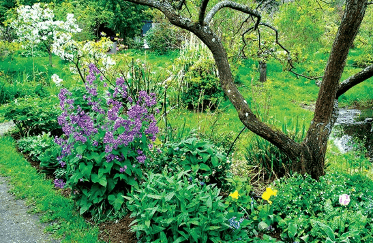 Gardens As Metaphors For Learning Ecosystems – The Permaculture Garden ...
